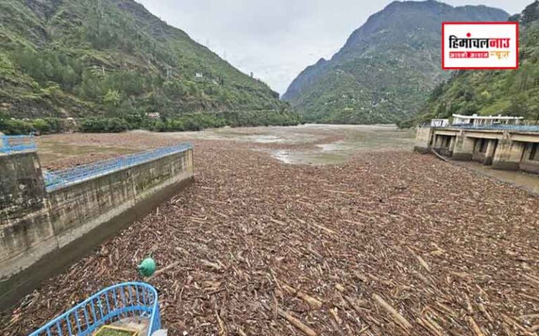 Pandoh Dam Wood / बादल फटने के बाद पंडोह डैम में लकड़ी जमा होने की जांच ...